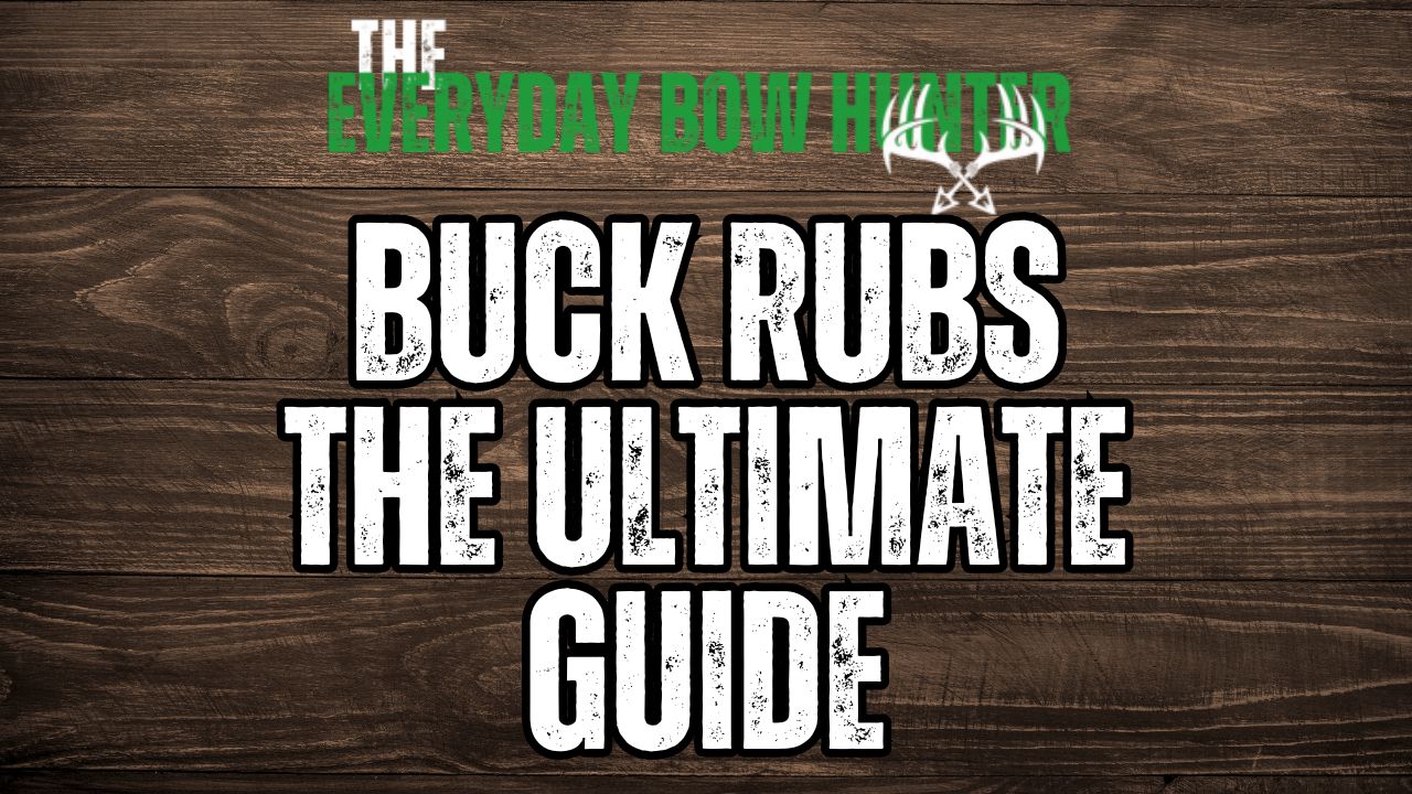 How to Identify Mature Buck Rubs in Hill Country: The