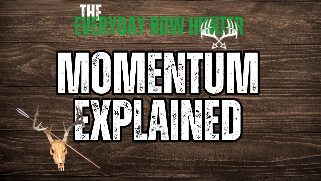 Momentum Explained: How Arrow Weight Impacts Penetration