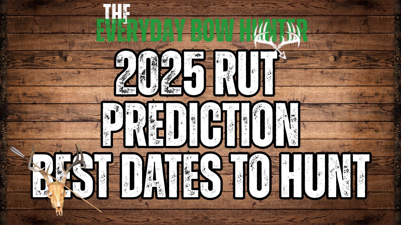 2025 Whitetail Rut Prediction: Best Dates to Hunt