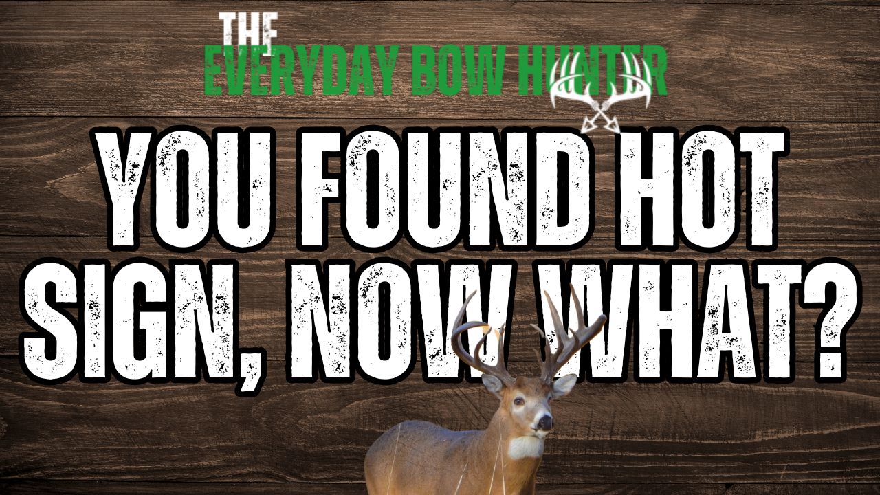 You Found Hot Sign. Now What?