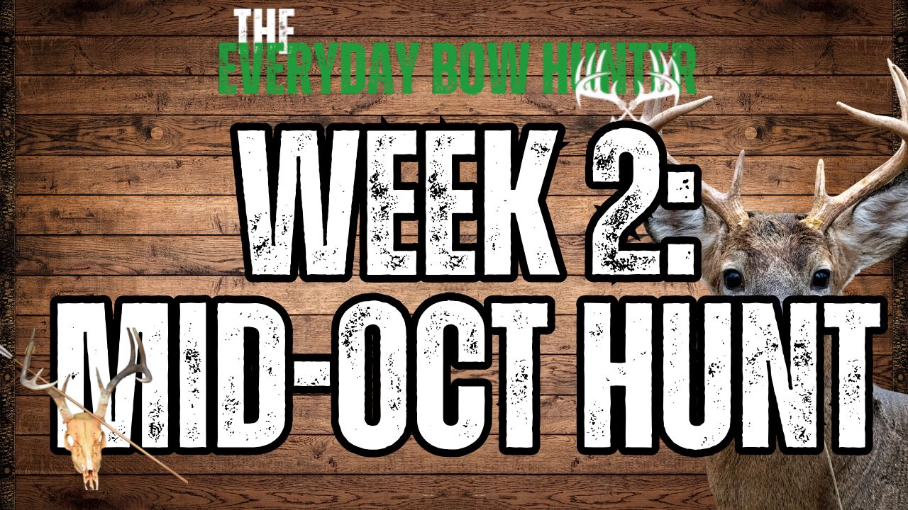 Week 2: The October Shift (Where Bucks Go and How to Hunt